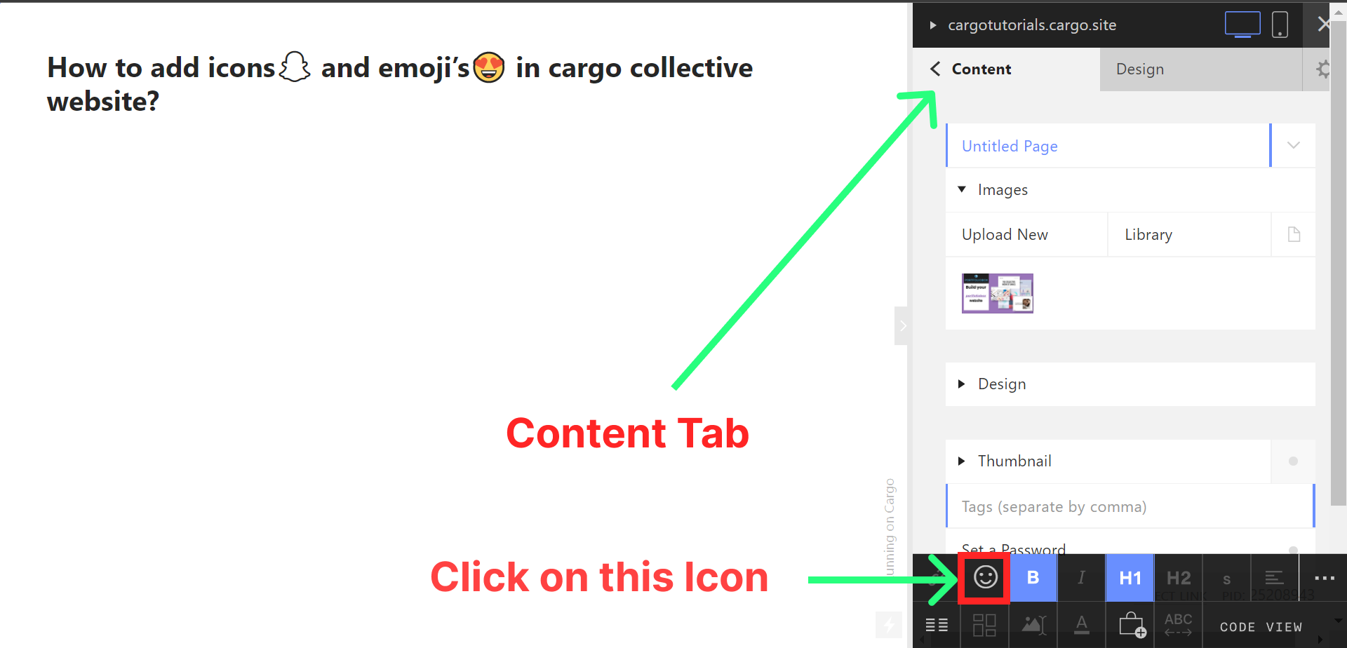 Add icon and emoji in Cargo Collective Site - Cargo Site Tutorials