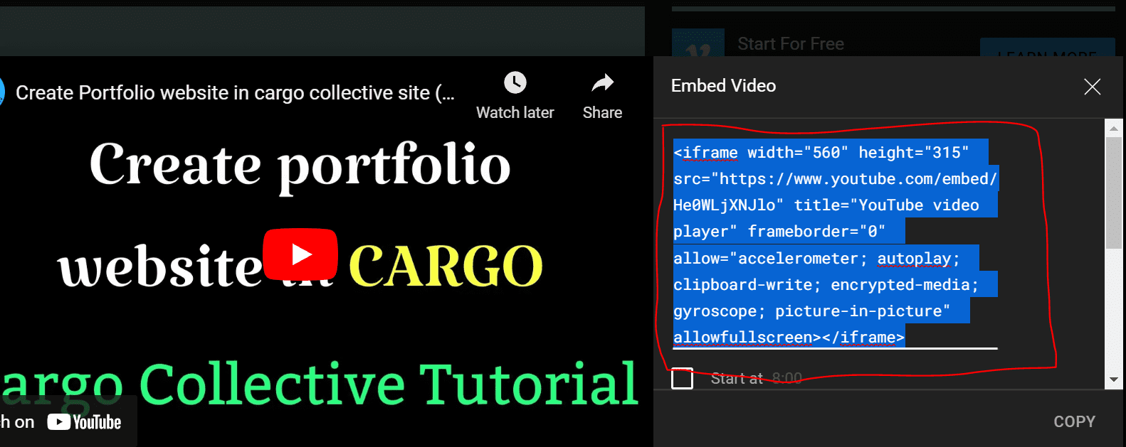 Add video in cargo collective - Cargo Tutorials