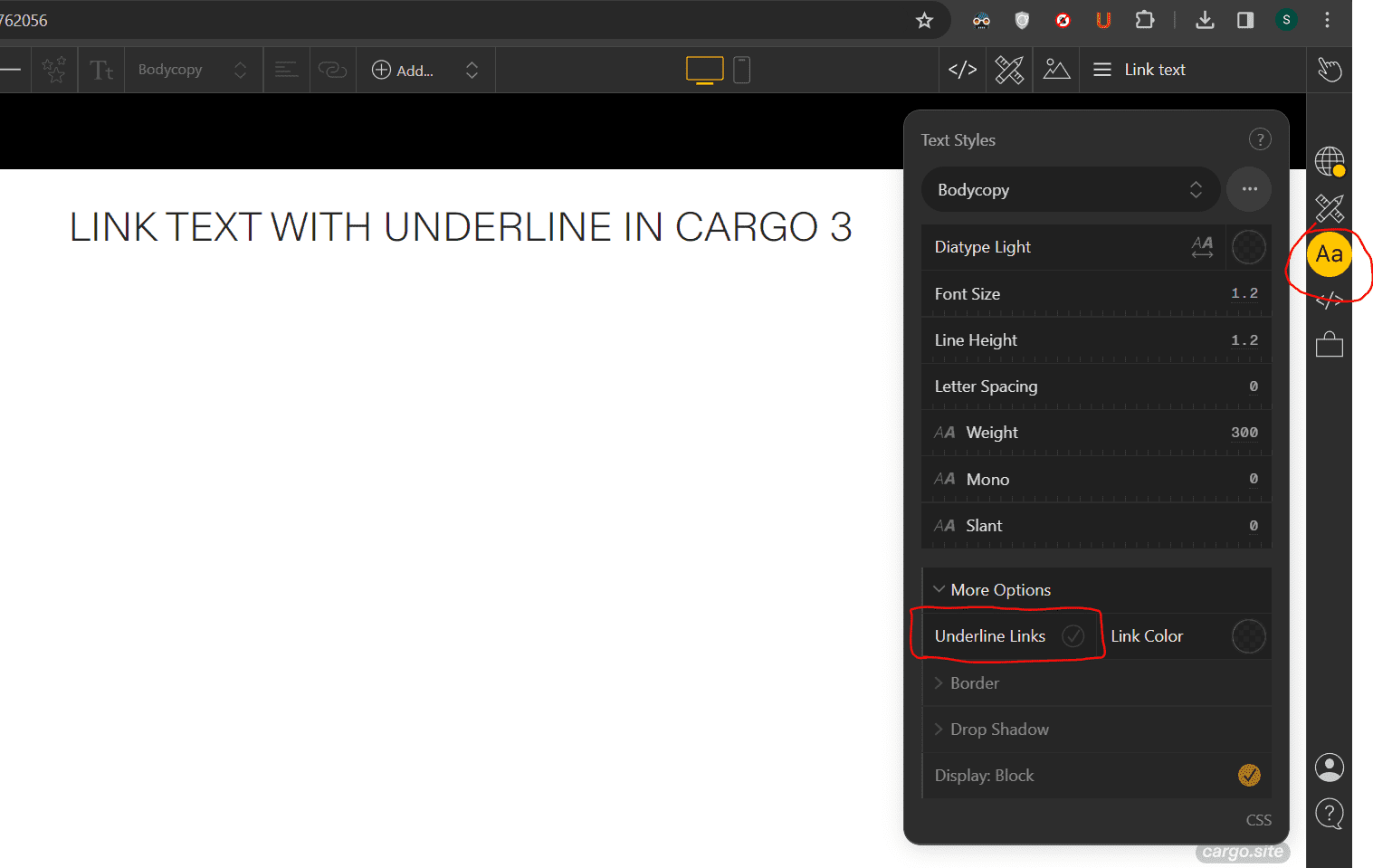 Remove underline from text link in Cargo Collective - Cargo Site Tutorials